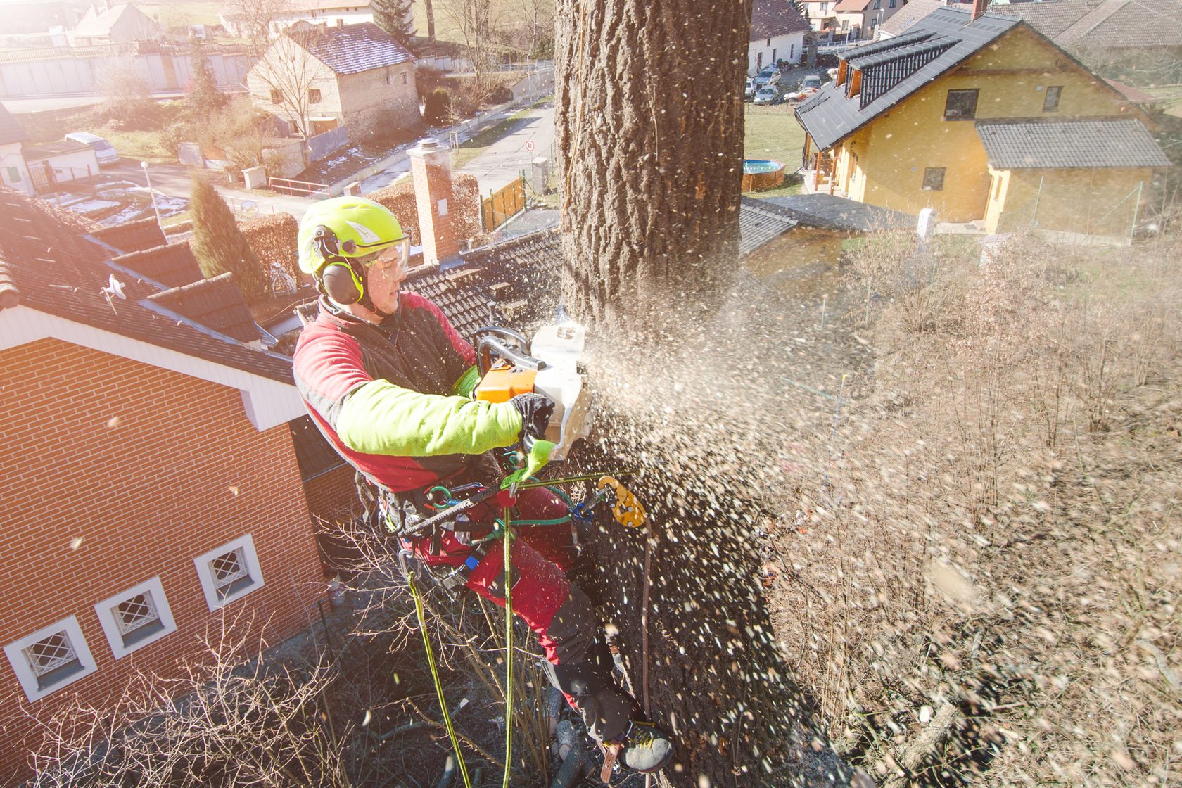 Baumkletterer - Seiltechnik-Berlin