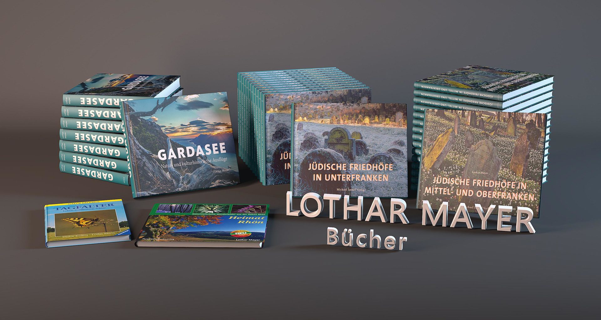 Bücher von Lothar Mayer - Lothar Mayer
