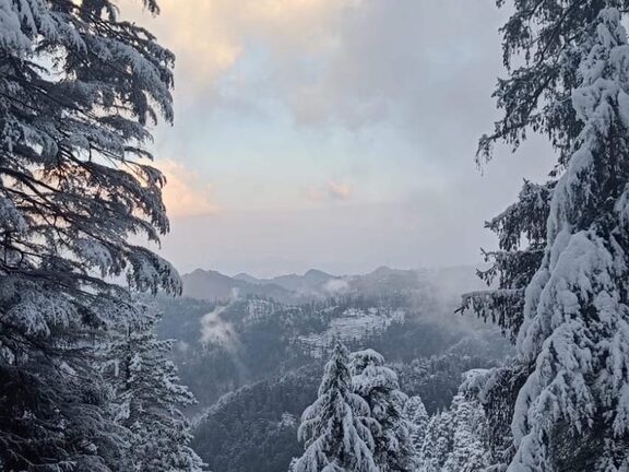 oshogram - Meditation in the Himalayas